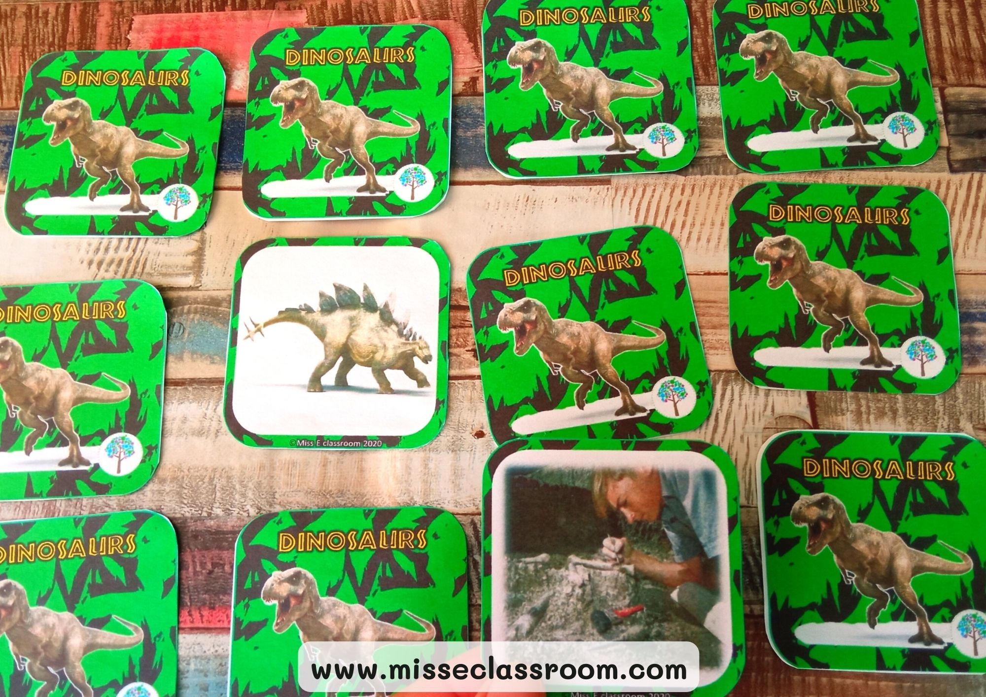Dinosaurs - Elementary/Primary Unit | Miss E Classroom