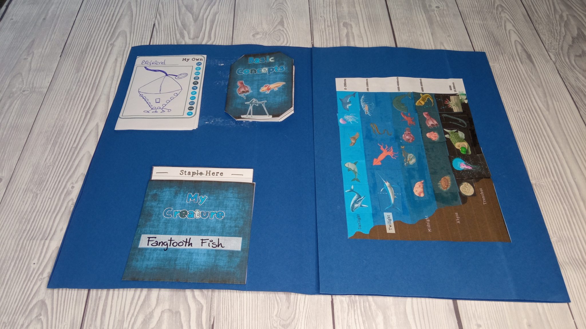 Ocean Creatures Games & Activities | Miss E Classroom