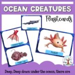 Ocean Creatures Games & Activities | Miss E Classroom
