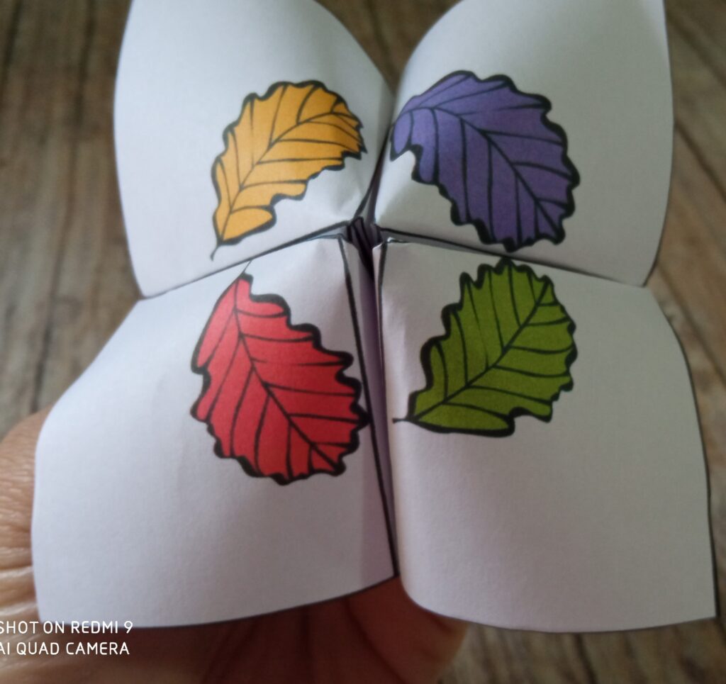 Nature into the Classroom by learning Trees and Leaves | Miss E Classroom